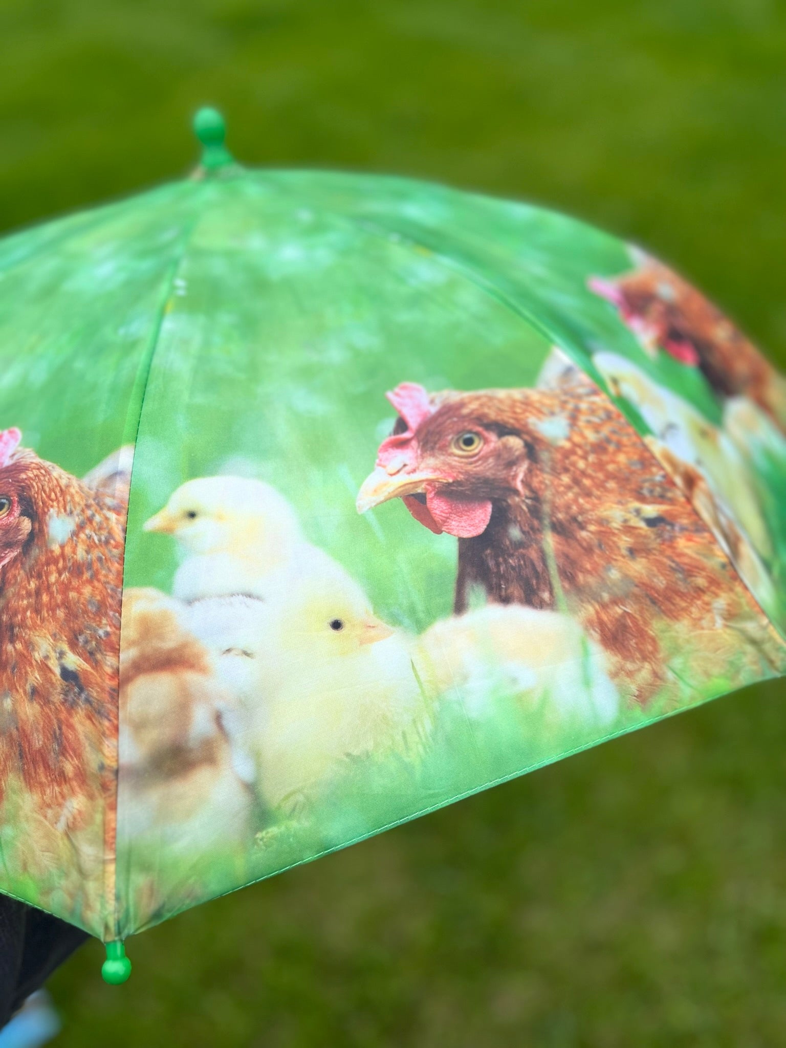 Children's Farm Animal Umbrella – The Branded Barn