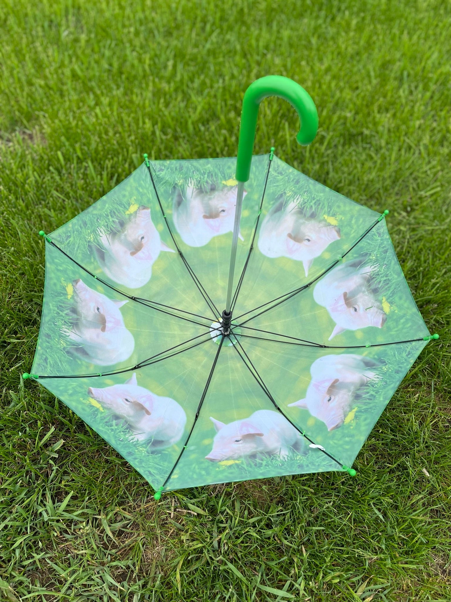 Children's Farm Animal Umbrella – The Branded Barn