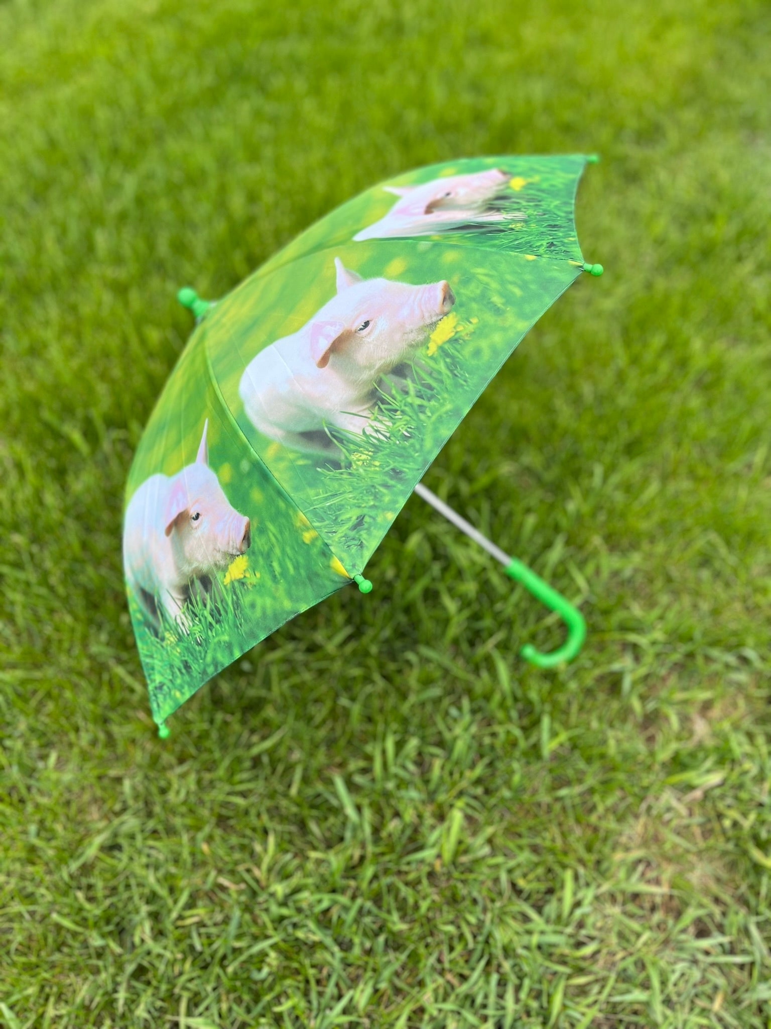 Children's Farm Animal Umbrella – The Branded Barn
