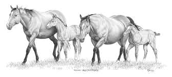 Young and Restless Horse Western Dinnerware Set featuring Bernie Brown ...